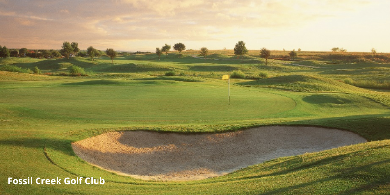 4 Best Public Golf Courses in Dallas